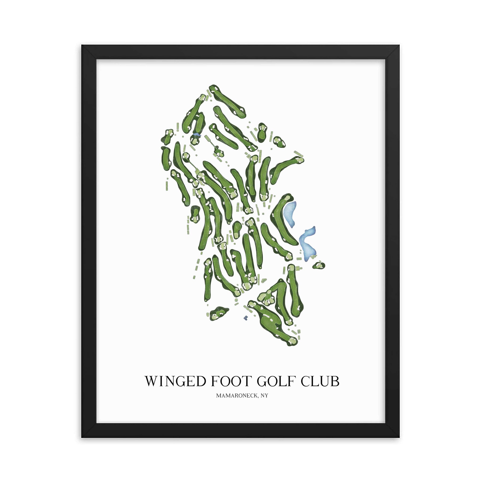 Winged Foot - Golf Course Print